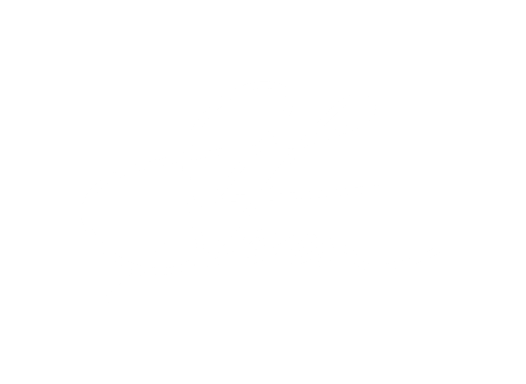 Stern Group - Stern Development